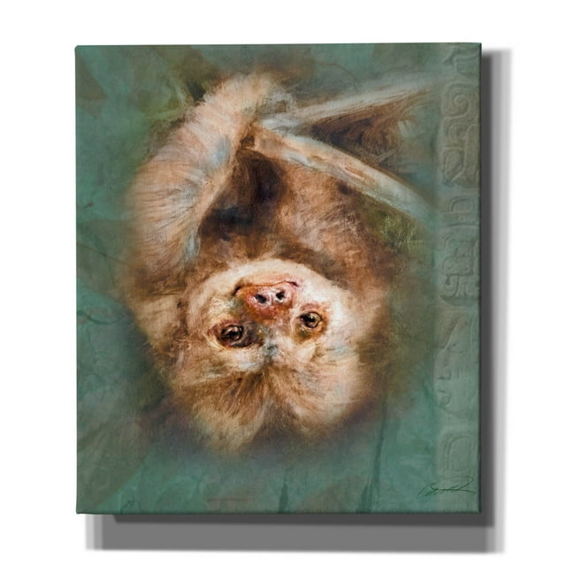Epic Graffiti 'Two-Toed Sloth' by Robert Campbell, Canvas Wall Art, 26 ...