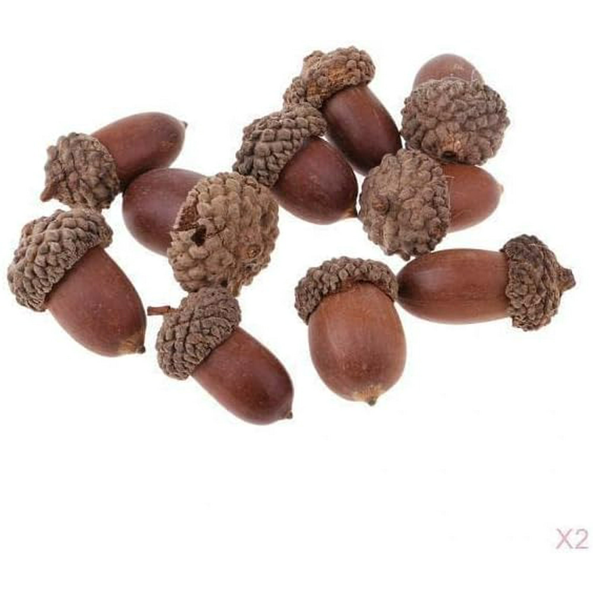 Click here for Chenxiayu Bulk Pack Of Authentic Acorns For Home D... prices