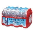 Crystal Geyser, Spring Water, 16.9 oz, Pack of 24 Bottles - Walmart.com