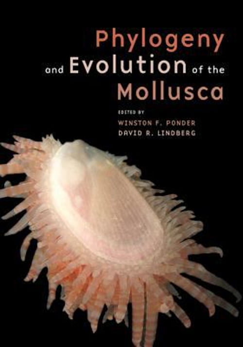 Pre-Owned Phylogeny and Evolution of the Mollusca (Hardcover) by ...