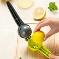 Fresh Citrus Juice Extractor, Small Hand-crank Lemon Squeezer, Modern ...