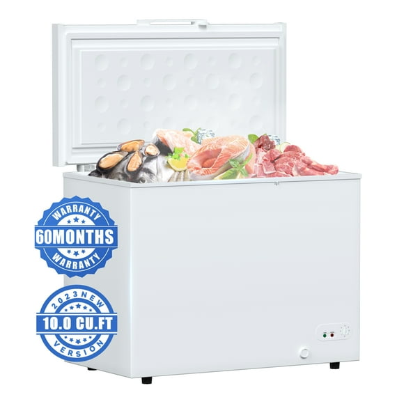 10 Cu Ft Deep Freeze