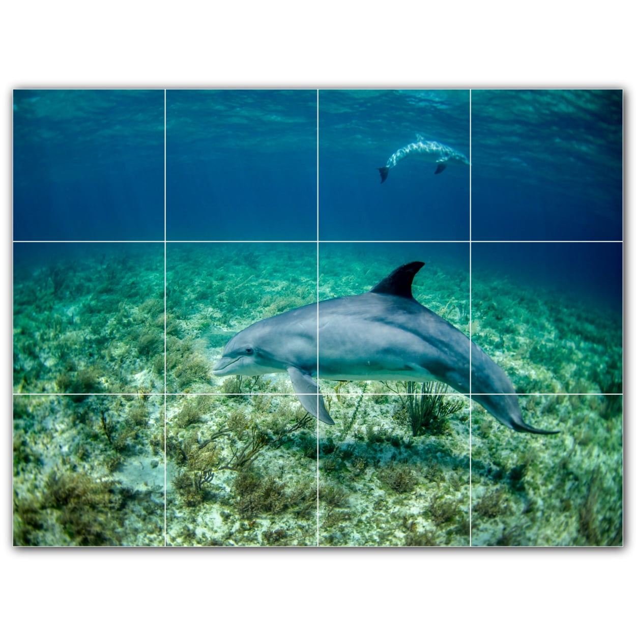Picture-Tiles.com: Dolphin Ceramic Tile Wall Mural WAL500504-43L. 32"W ...