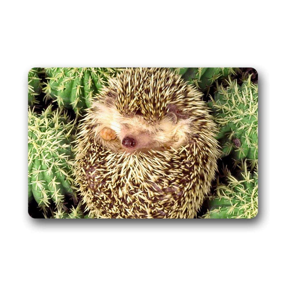 CADecor Hedgehog Doormat Indoor Outdoor Floor Rug 30x18 inches ...