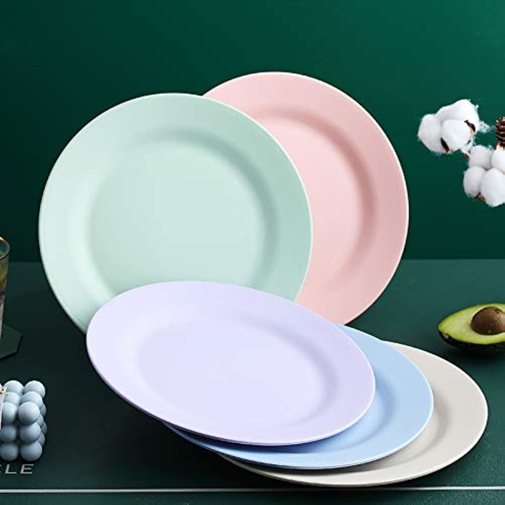 PEACNNG Set of 5 Lightweight, 11 Inch Flat Dinner Plates, Unbreakable ...