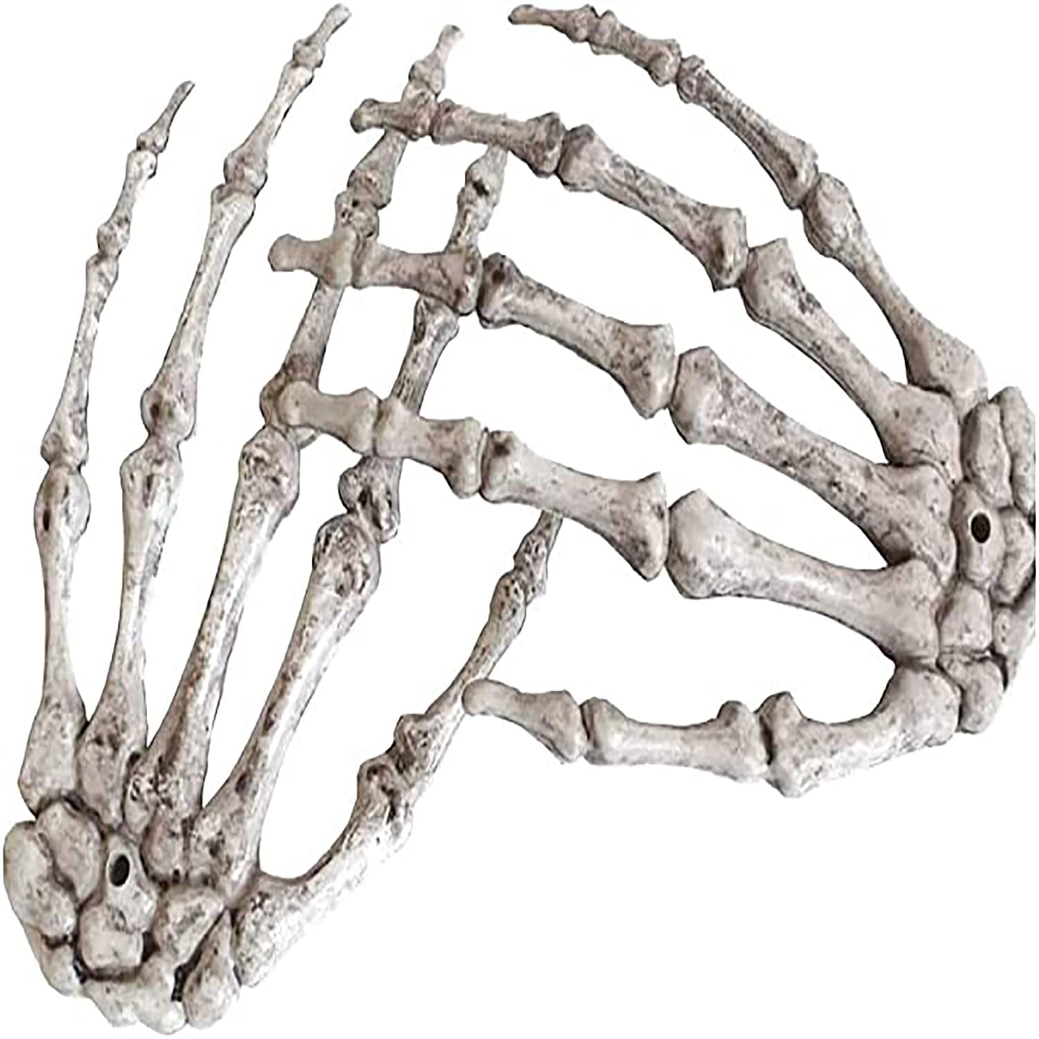 Gorilla Hand Skeleton