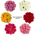 Fresh-Cut Solid Roses Flower Bunch, Minimum of 12 Stems, Colors Vary ...