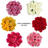 Fresh-Cut Solid Roses Flower Bunch, Minimum of 12 Stems, Colors Vary ...