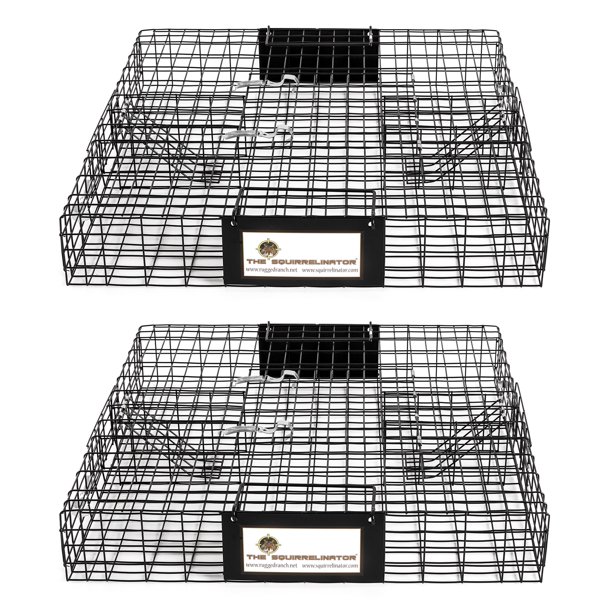 Rugged Ranch SQRTO Squirrelinator Squirrel 2 Door Trap Cage (2 Pack ...