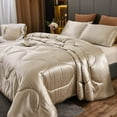 NTBED Silky Satin Comforter Set Queen Champagne Luxury Wave Quilted ...