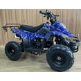 Vitacci Hawk 110cc Fully Automatic Mini ATV All-Terrain Vehicle ...