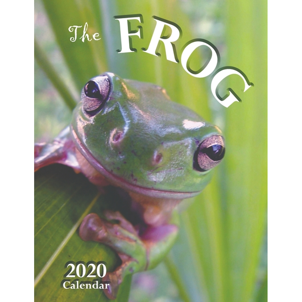 The Frog 2020 Calendar (Paperback) - Walmart.com - Walmart.com
