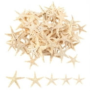 Coco Midrib Sea Shell Pack: Natural, 10 inches - Walmart.com