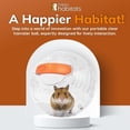 Happy Habitats, Hamster Ball, 7” Clear, Safe Ventilated Plastic ...