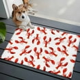 Bathroom Rugs 2x3 Ft, Red Lobster Non Slip Area Rugs for Kitchen ...