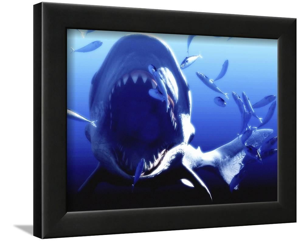 Megalodon Prehistoric Shark, Animals Scenic Framed Art Print Wall Art ...