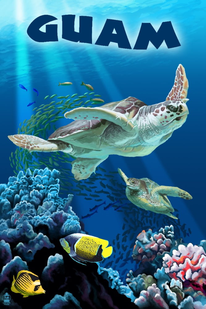 Guam, Sea Turtles Swimming (16x24 Giclee Gallery Art Print, Vivid ...