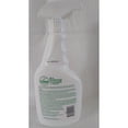 Classic Home Cleaners Foaming Bath Spray - Walmart.com