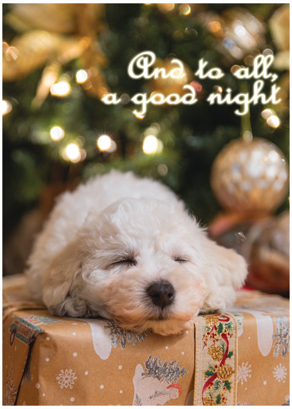 Glory To Dog And To All A Good Night Sleepy Maltese Christmas Greeting ...