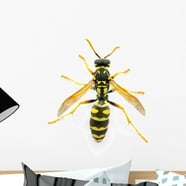 Canadian Nightcrawlers Fishing Worms Wall Mural by Wallmonkeys Peel and ...