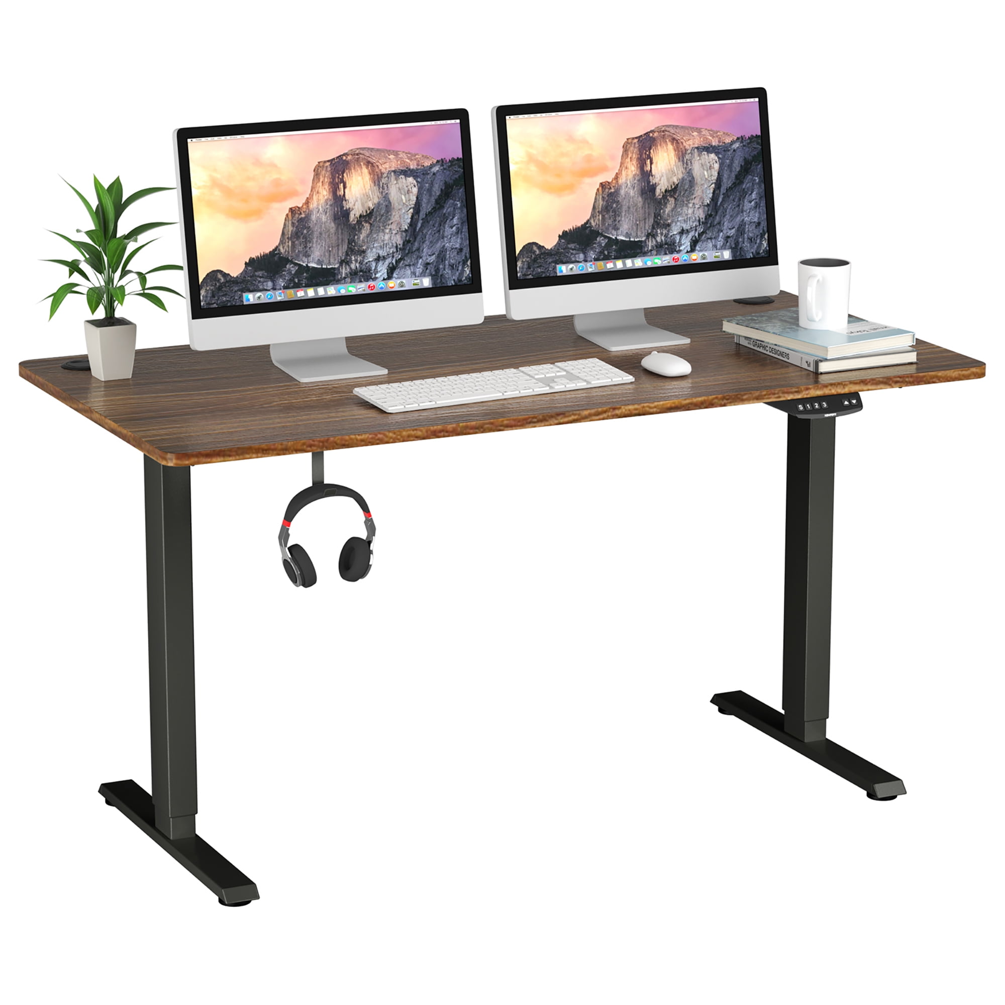 Costway 55'' x 28'' Electric Adjustable Standing up Desk Dual Motor w ...