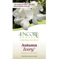 Encore Azalea Autumn Ivory (2 Gallon) White Flowering Shrub - Full Sun ...