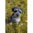 SCHNAUZER PUPPY PRAYING - Walmart.com
