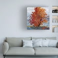 Trademark Fine Art "Stormlight" Canvas Art by Mandy Budan - Walmart.com