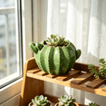 ACDANC 2026 New Ceramic Planter S Artisan-Crafted Ceramic Pots for ...