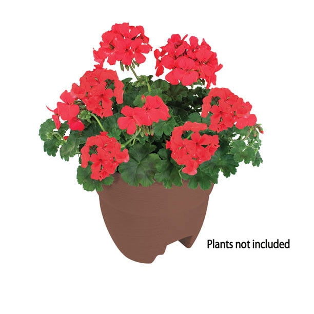 Emsco Group 2465-1 Bloomers Post Planter, for 4x4 Posts, Brown ...