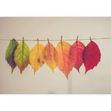 wall26 - Colorful Leaves Hang on String - Removable Wall Mural | Self ...