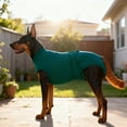 Dog Surgery Recovery Suit, Recovery Suit for Female Male Dogs, Dog ...
