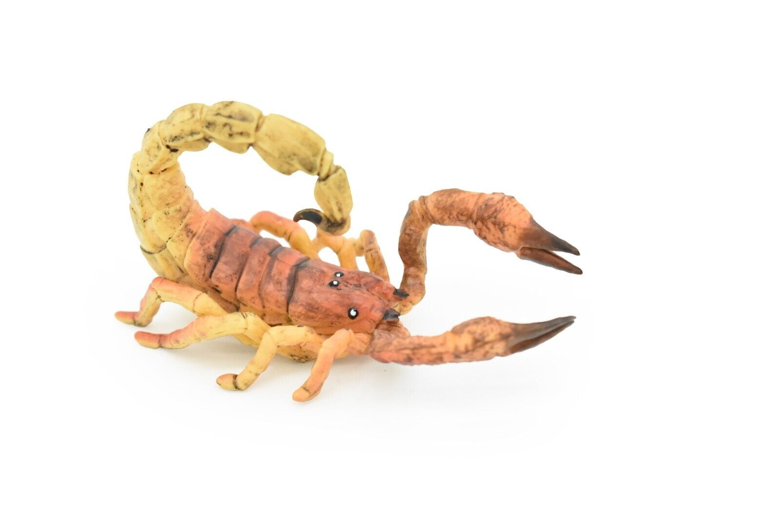 Scorpion Toy, Brown, Bug, Arachnids, Very Realistic Rubber Figure ...