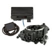 Holley EFI 550-444 Fuel Injection System - Walmart.com