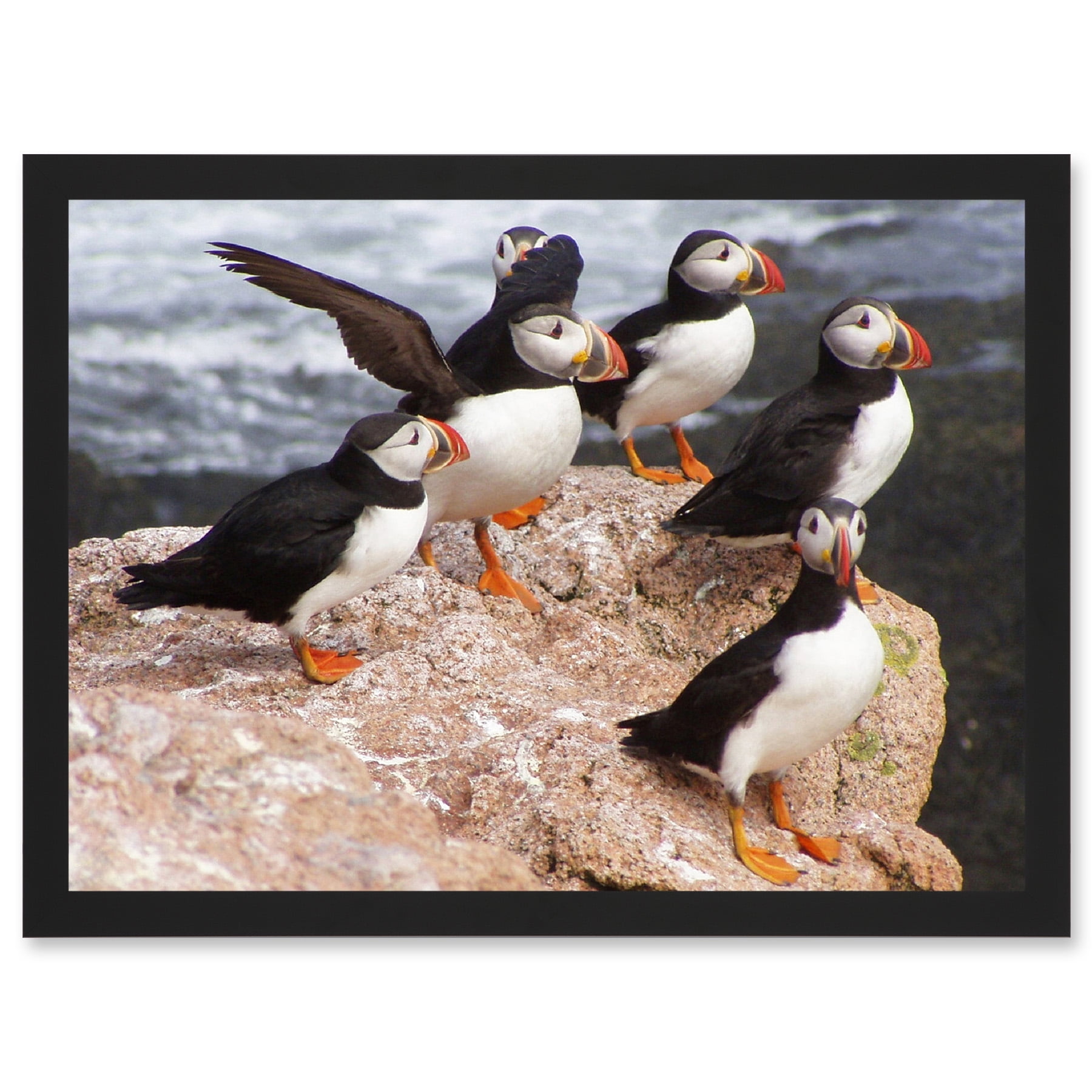 Animal North Atlantic Puffins Birds Beach Edge of Ocean Rock Artwork ...