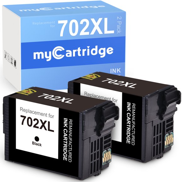 Epson 702 Ink Cartridges