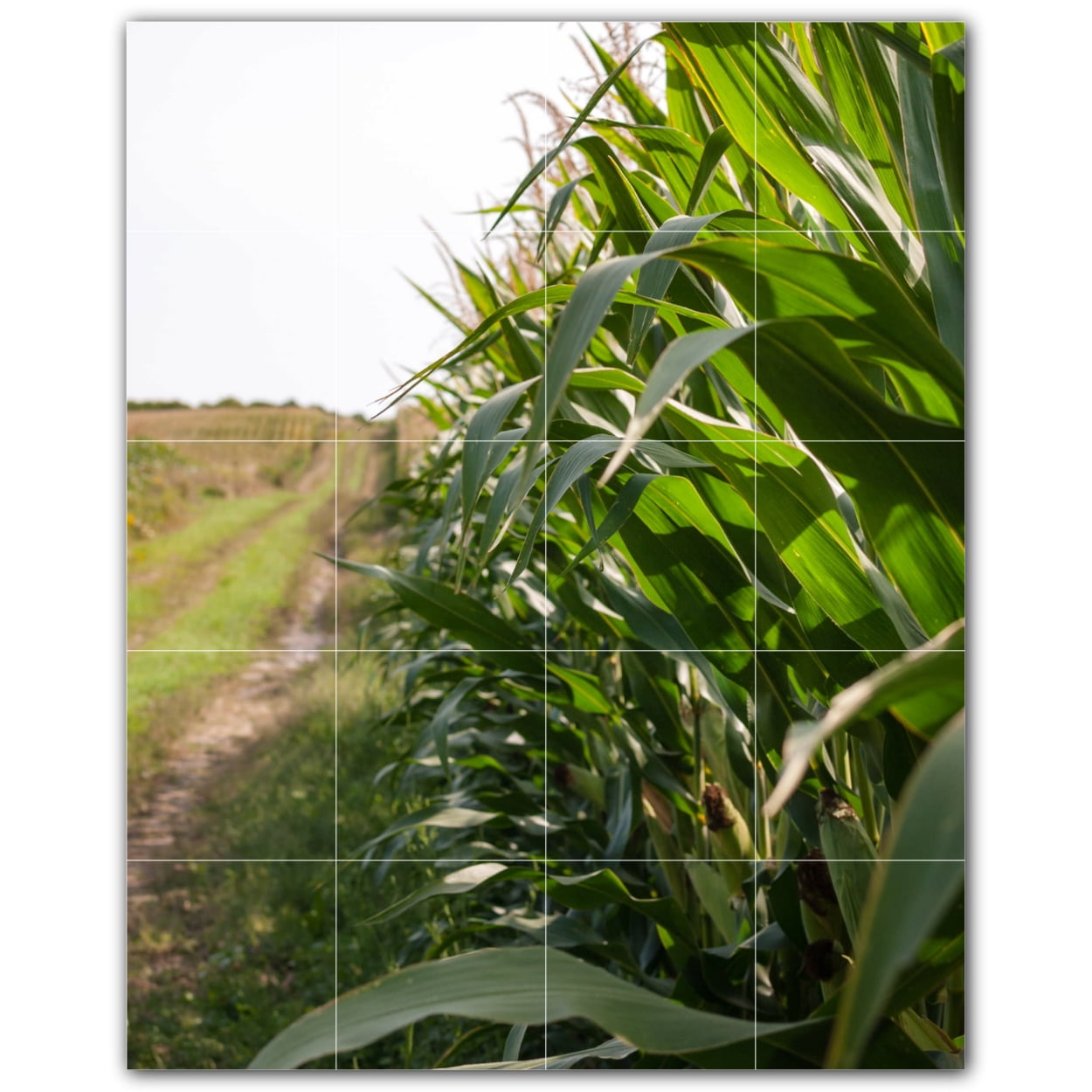 Picture-Tiles.com: Farm Ceramic Tile Wall Mural WAL500571-45M. 24"W x ...