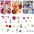 110+PCS Pressed Flowers for Resin molds Real Dried Flower Leaves ...