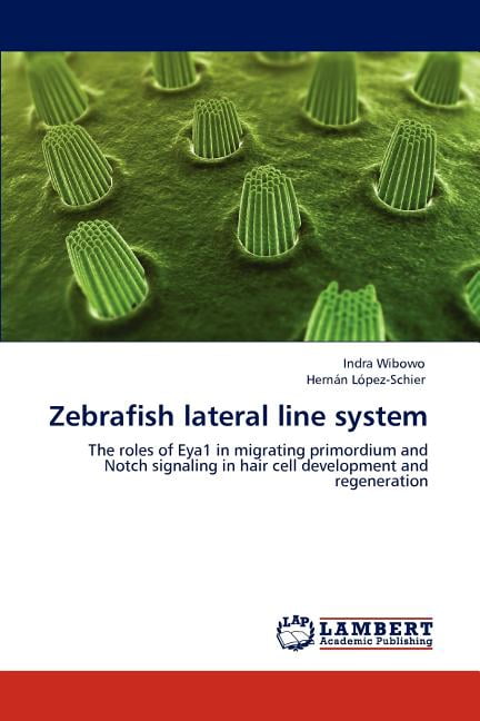 Zebrafish Lateral Line System (Paperback) - Walmart.com