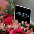 3drose, Kike Calvos Evolution by Natural Selection of a Professional ...