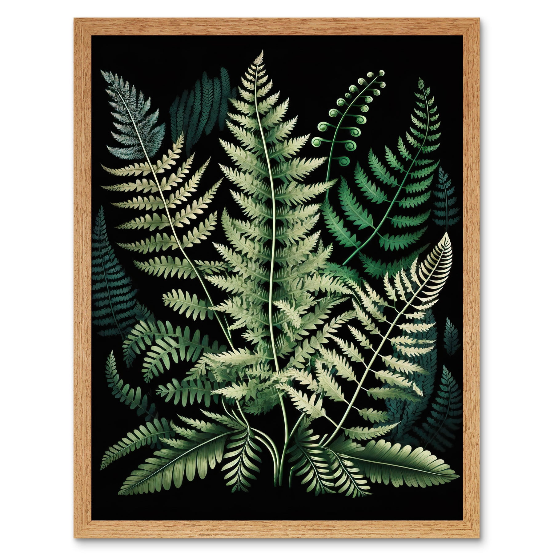 Different Fern Fronds Detailed Leaves Illustration Art Print Framed ...
