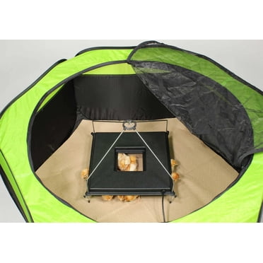 EcoGlow 20 Chick Brooder - Walmart.com