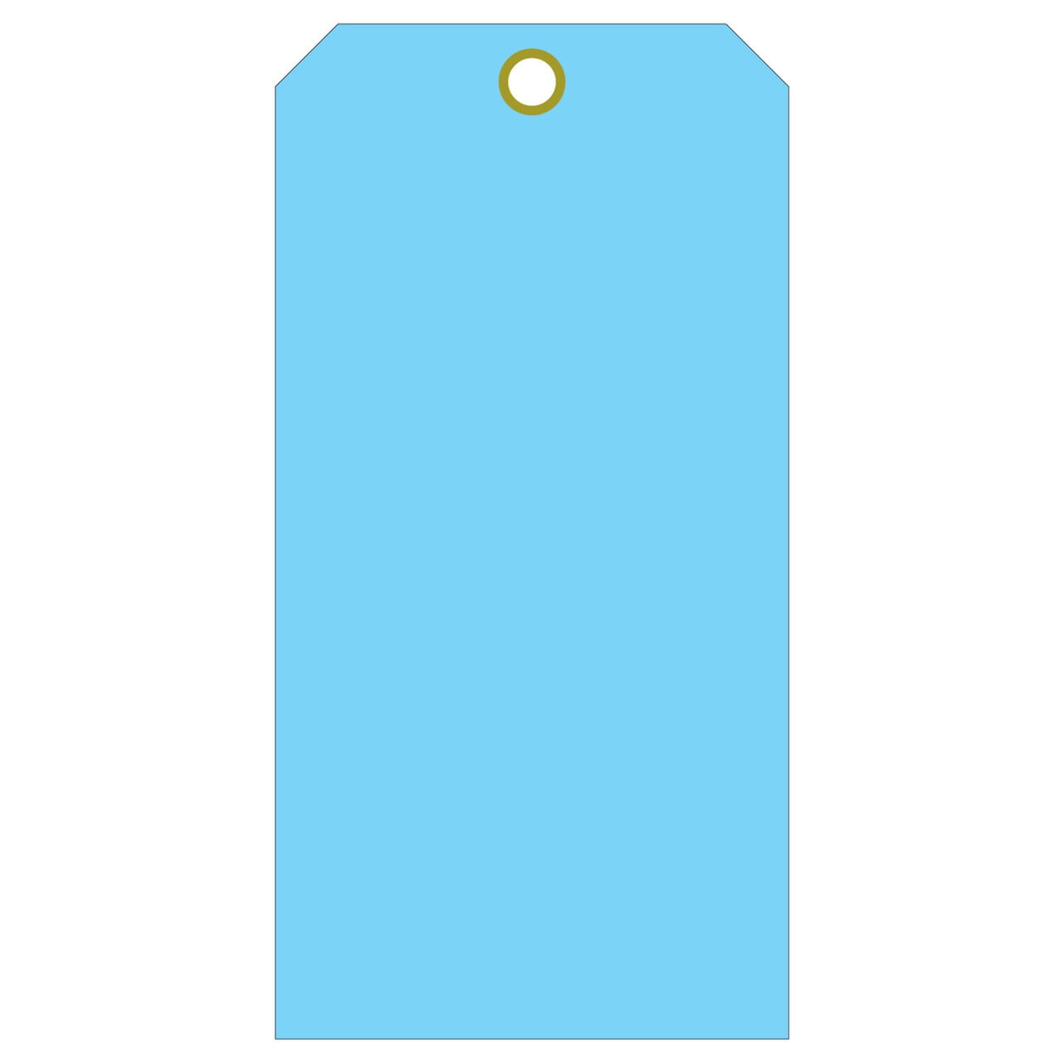 2 x 4 Light Blue Plastic Waterproof tags 100 per pack - Walmart.com
