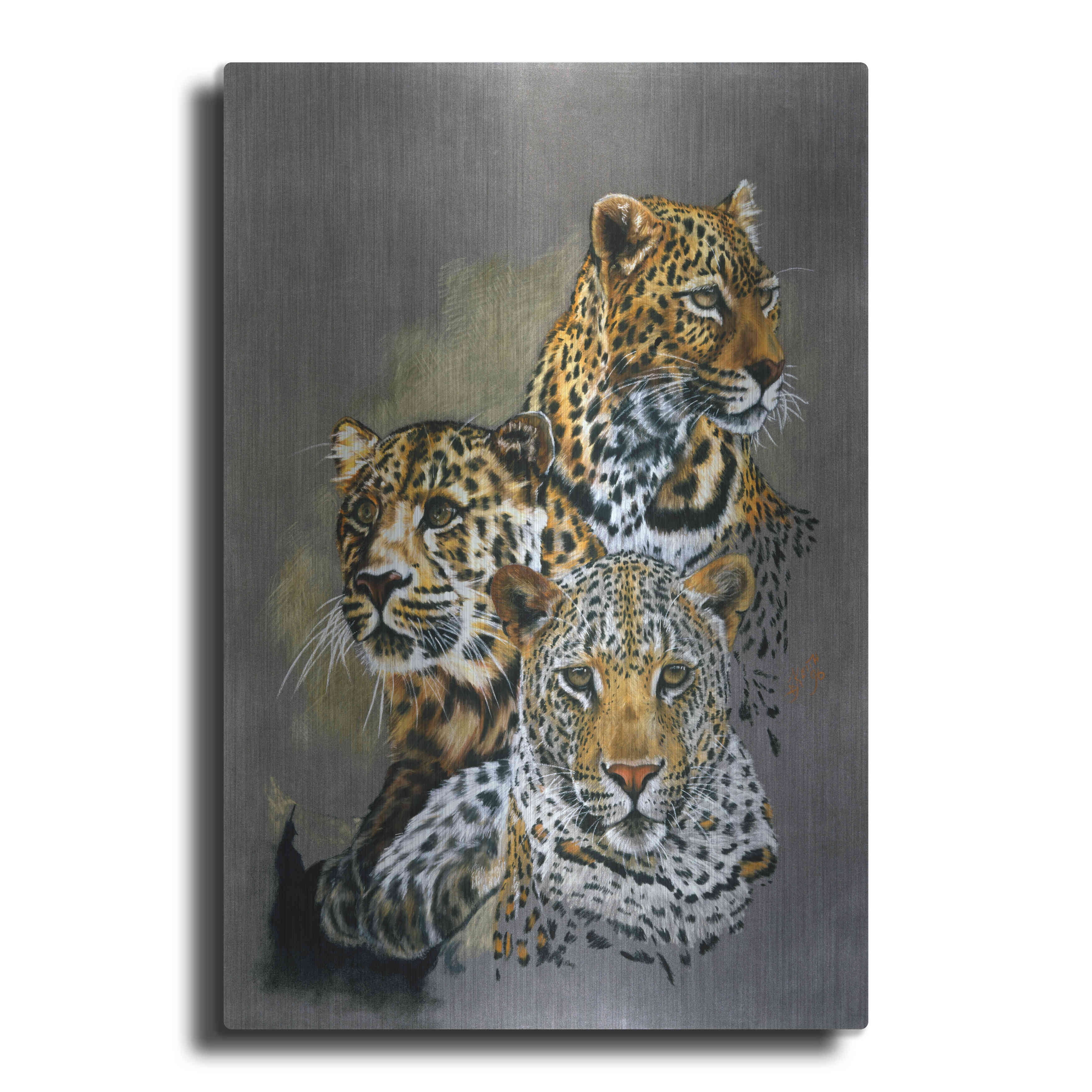 Luxe Metal Art 'Shadow Hunter' by Barbara Keith, Metal Wall Art, 12"x16 ...