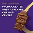 Cadbury Dairy Milk Freddo Chocolate Bar 18g (Pack of 60) - Walmart.com