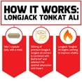 Force Factor Longjack Tongkat Ali 500mg, Vitality Supplement for Men ...