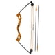 Bear Archery Apprentice Bow Set - Walmart.com