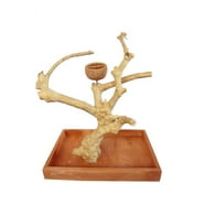 Prevue Pet Products Coffeawood Java Tree Large Floor Playstand Style #2 ...