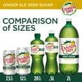 Canada Dry Ginger Ale, Caffeine Free Zero Sugar, 7.5 fl oz, 10 Pack ...