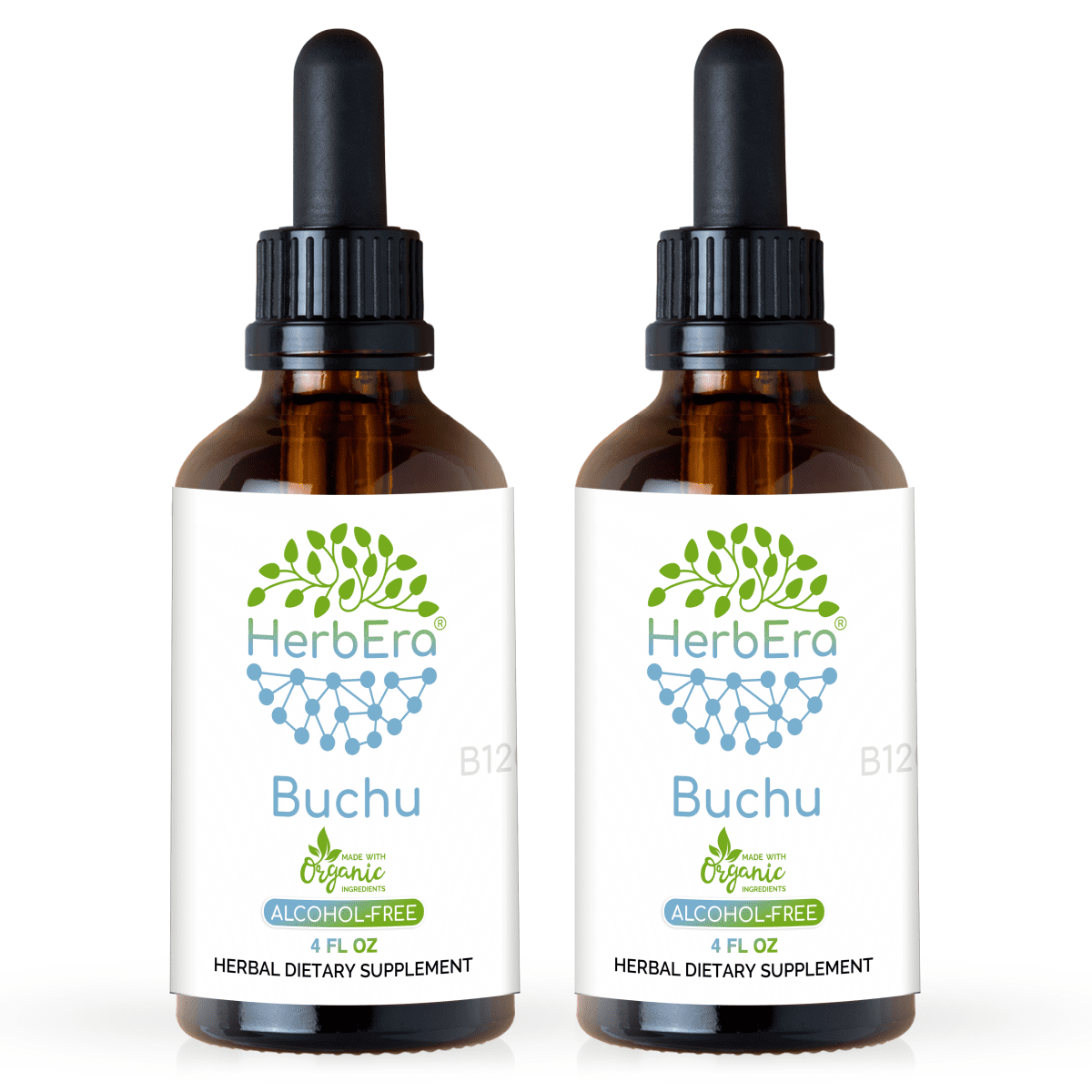 Buchu Alcohol-FREE Herbal Extract Tincture, Super-Concentrated Organic ...